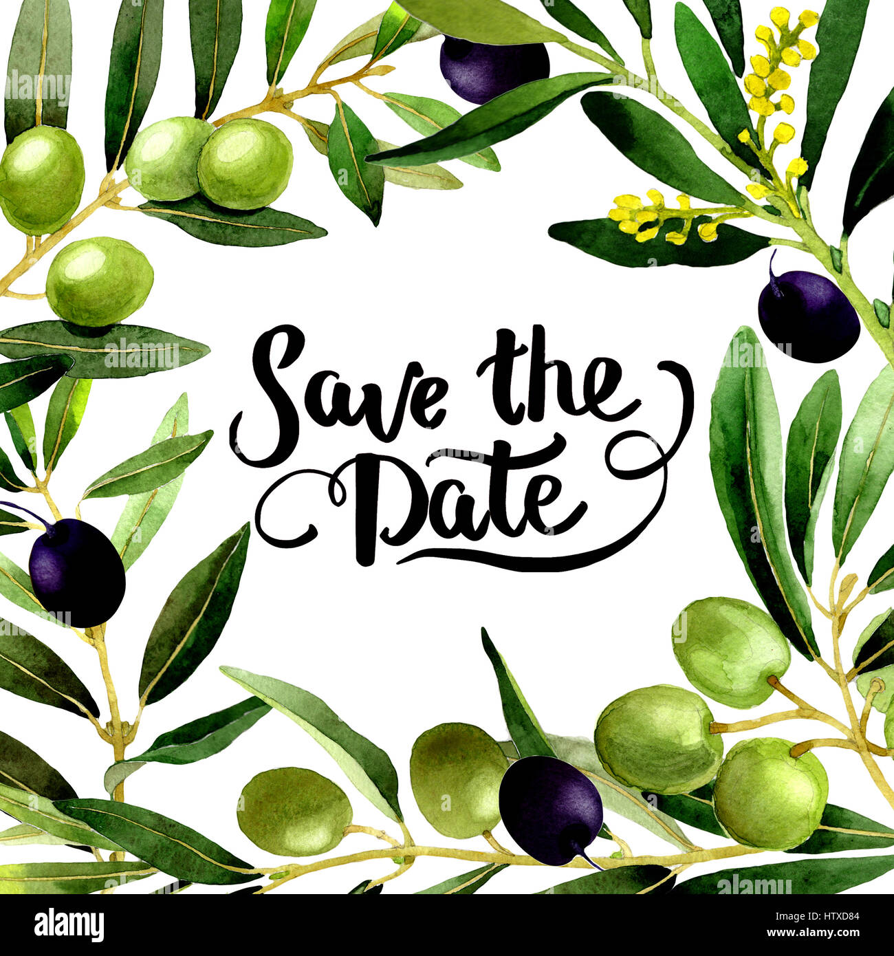Olive tree frame in a watercolor style isolated Stock Photo - Alamy