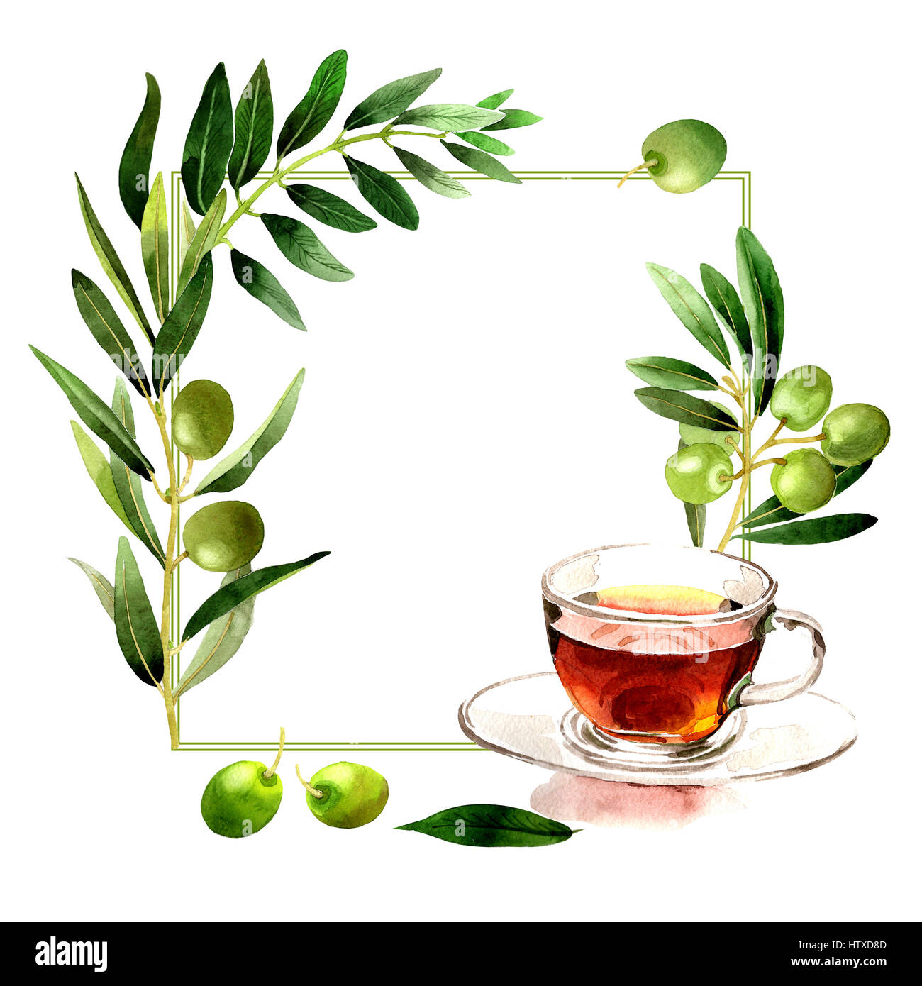 Olive tree frame in a watercolor style isolated Stock Photo - Alamy