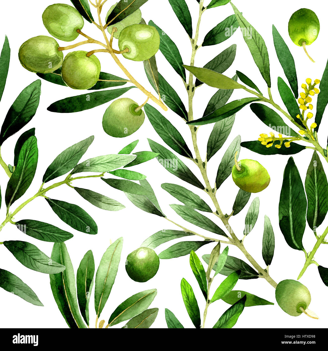 Olive tree pattern hi-res stock photography and images - Alamy
