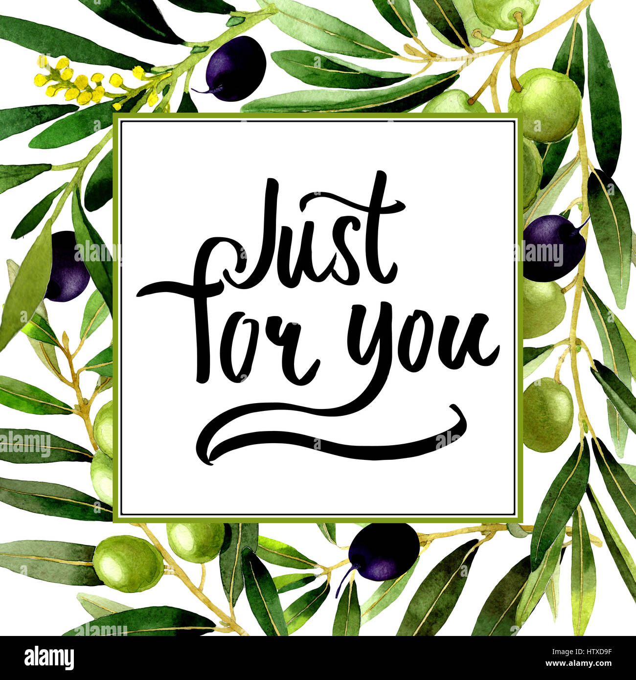 Olive tree frame in a watercolor style isolated Stock Photo - Alamy
