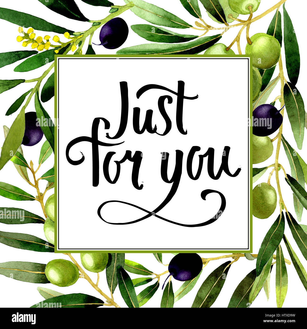 Olive tree frame in watercolor hi-res stock photography and images - Alamy