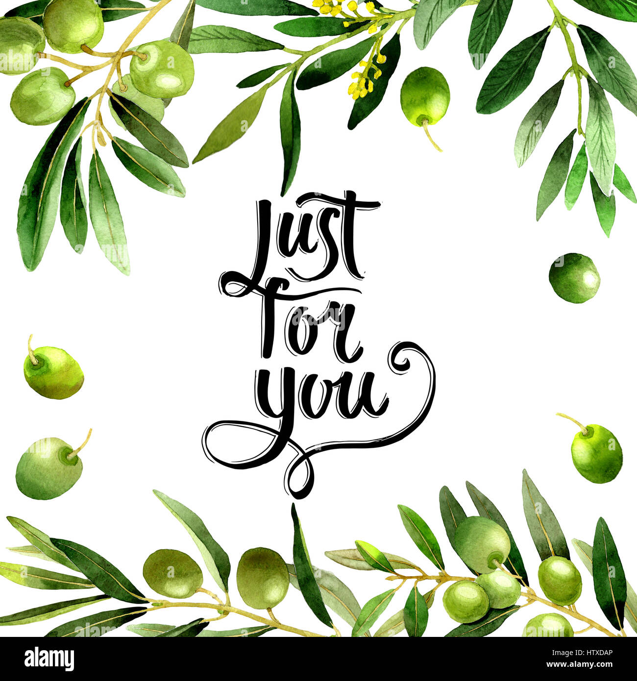 Olive tree frame in a watercolor style isolated Stock Photo - Alamy