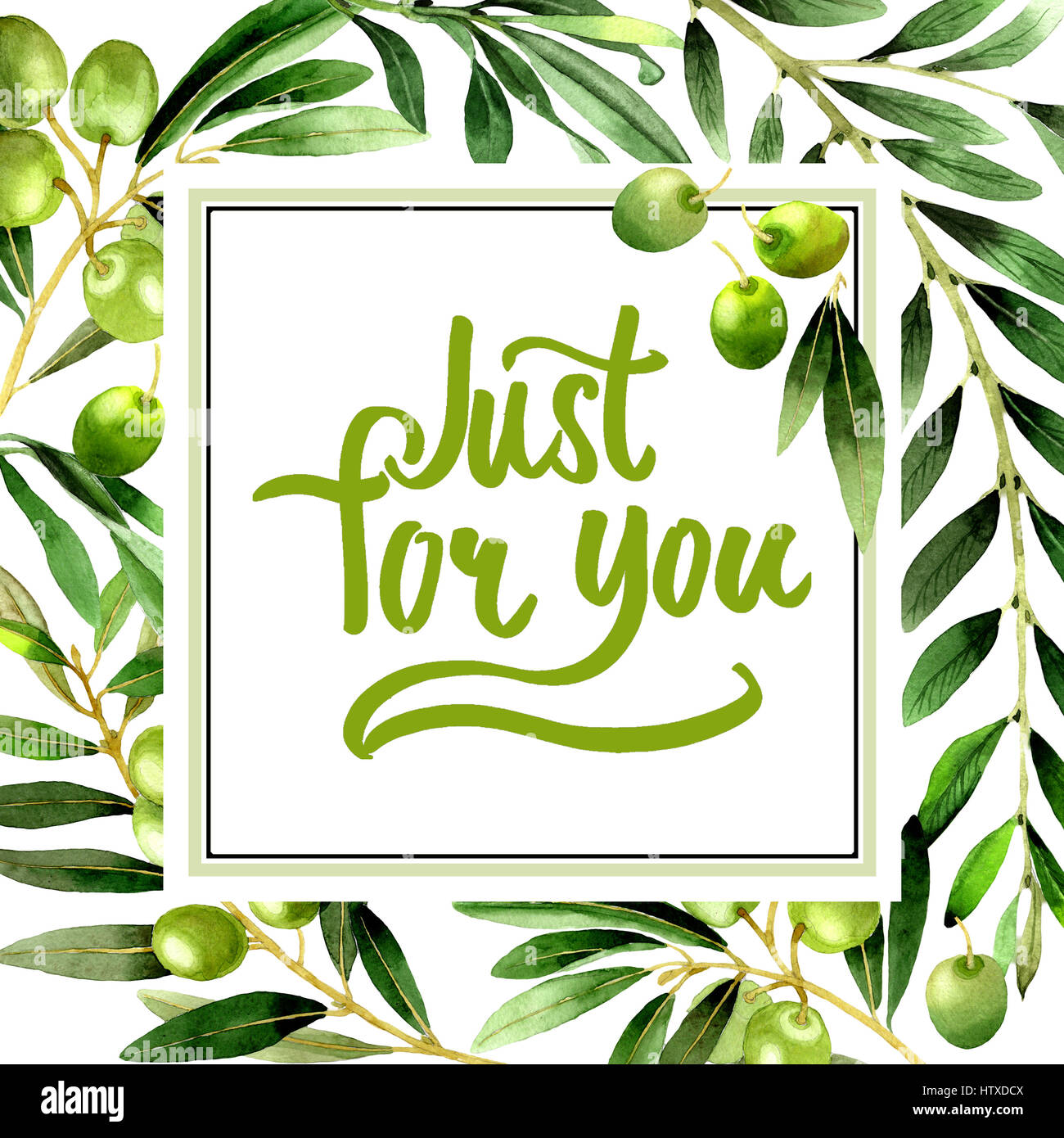 Olive tree frame in a watercolor style isolated Stock Photo - Alamy