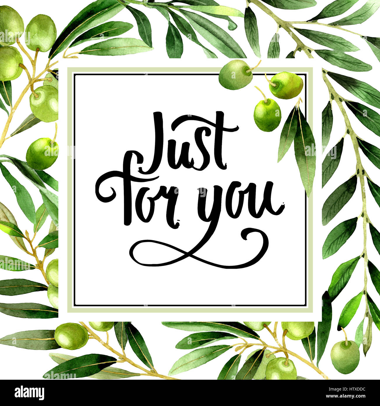 Olive tree frame in a watercolor style isolated Stock Photo - Alamy