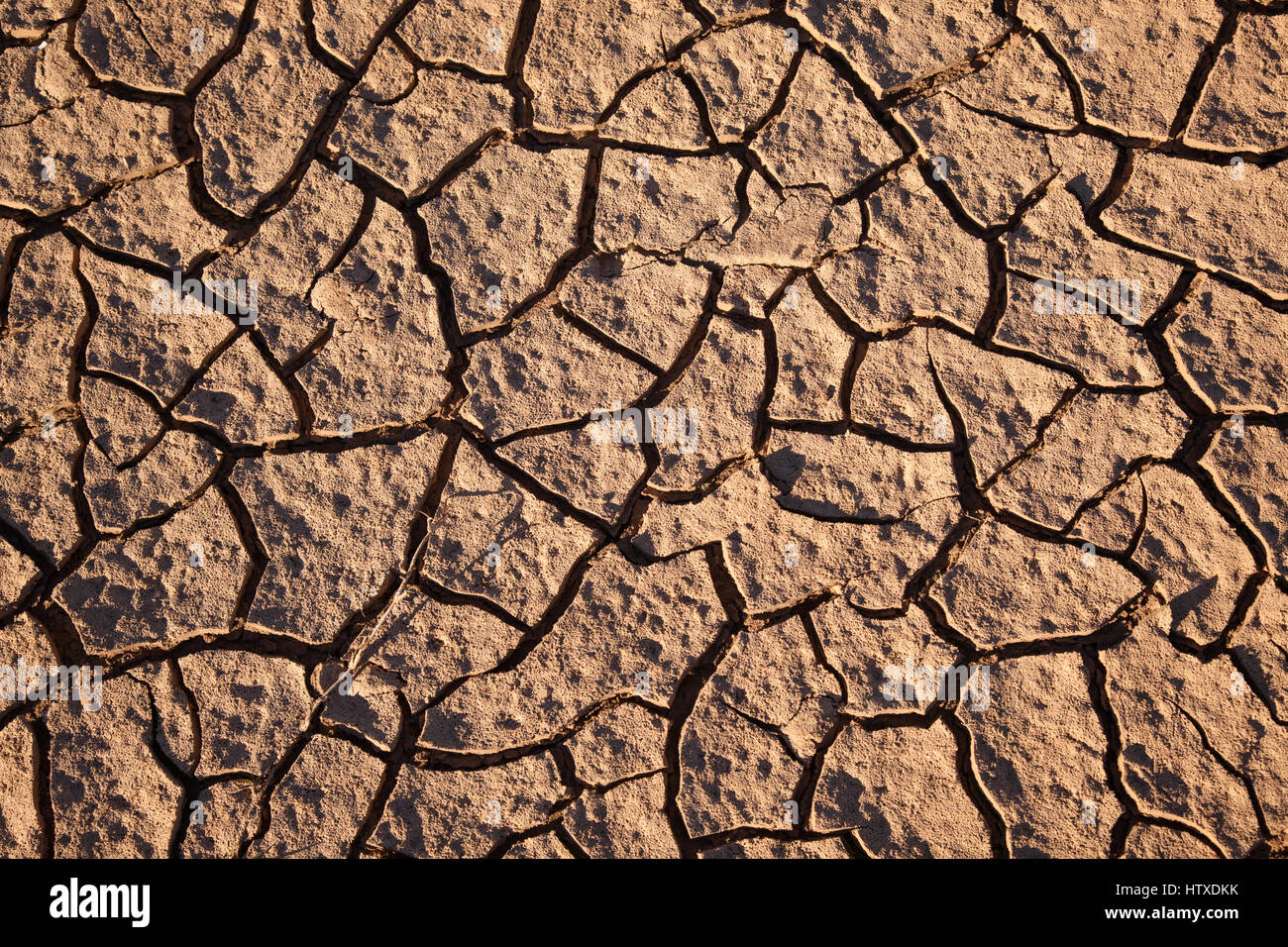 Dry dirt hi-res stock photography and images - Alamy