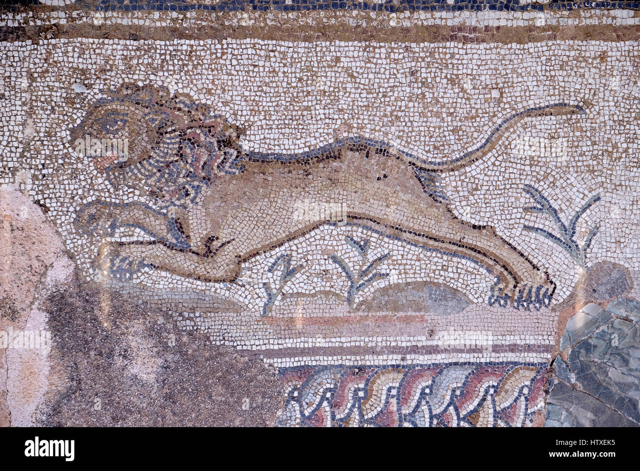 Roman mosaic in house theseus hi-res stock photography and images - Alamy