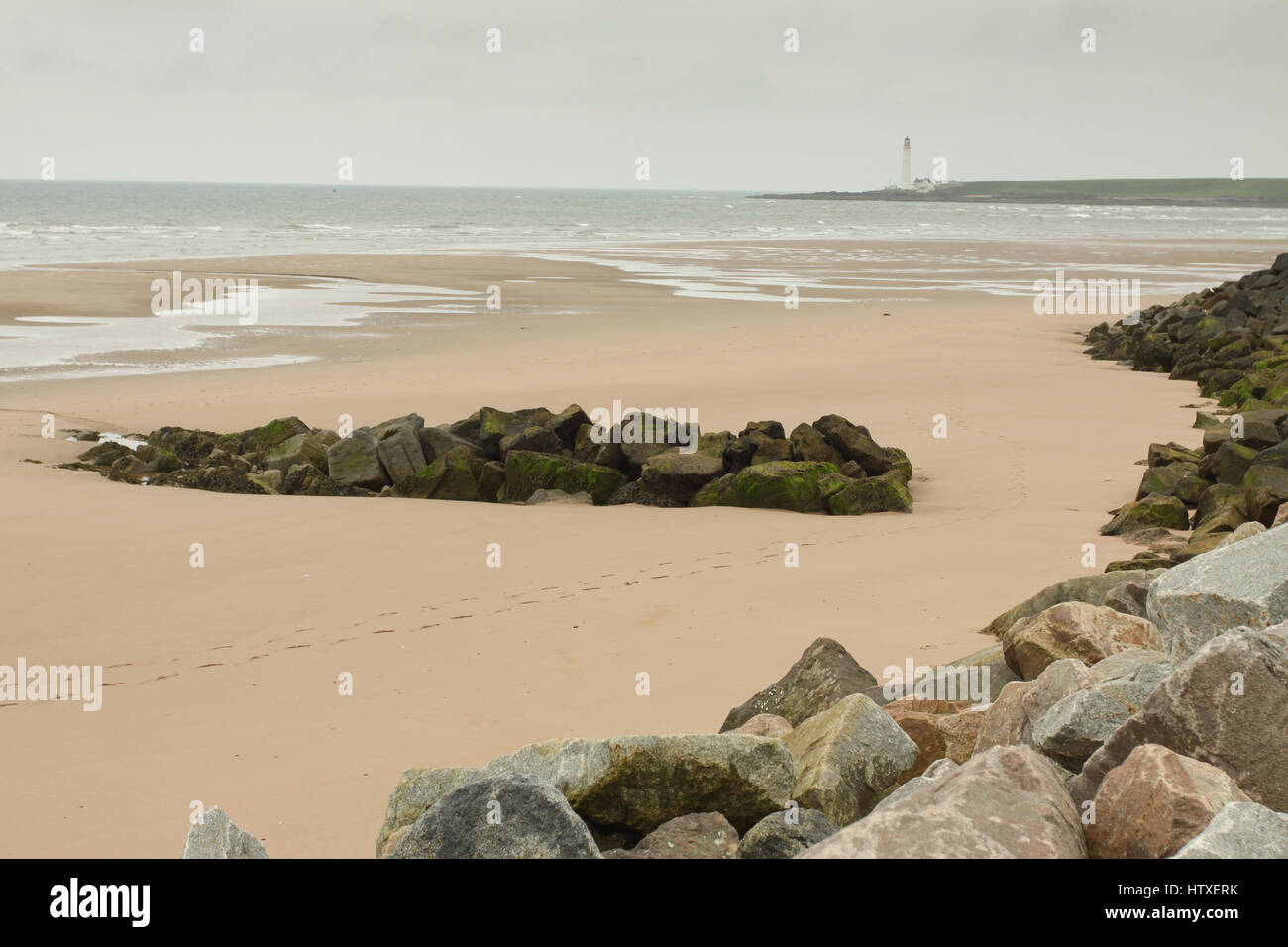 Montrose beach hi-res stock photography and images - Alamy