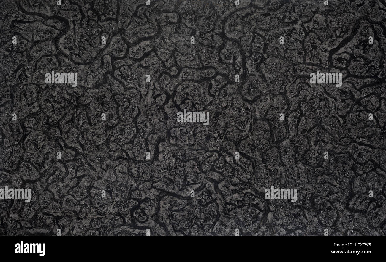 Vein like effect hi-res stock photography and images - Alamy