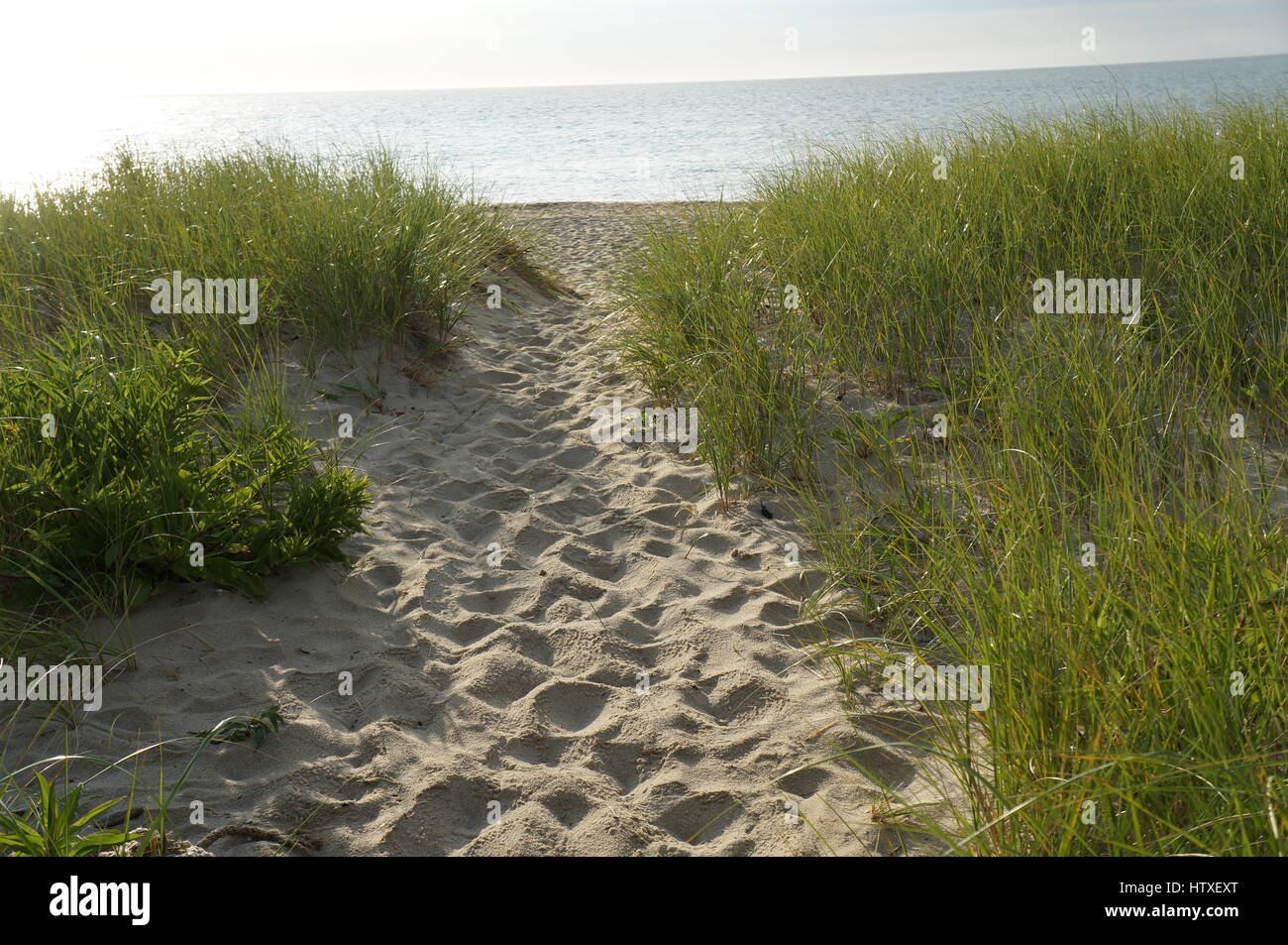 A path onto the beach opening up into a view of the ocean Stock Photo ...