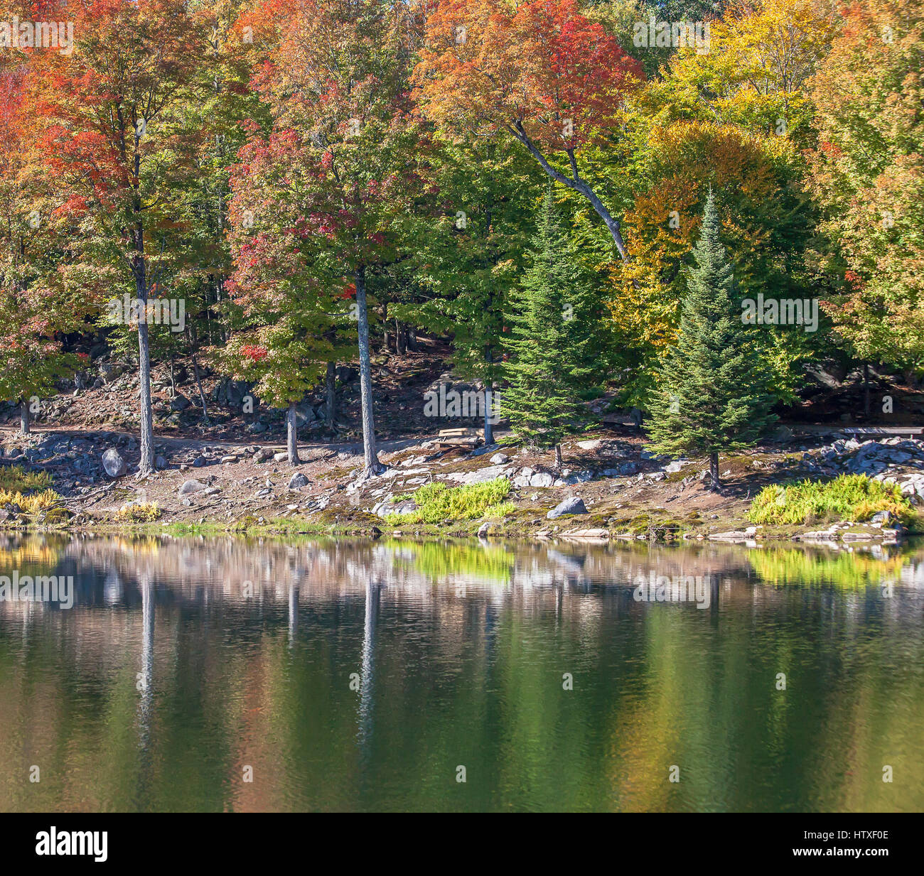 Canada quebec autumn foliage hi-res stock photography and images - Alamy