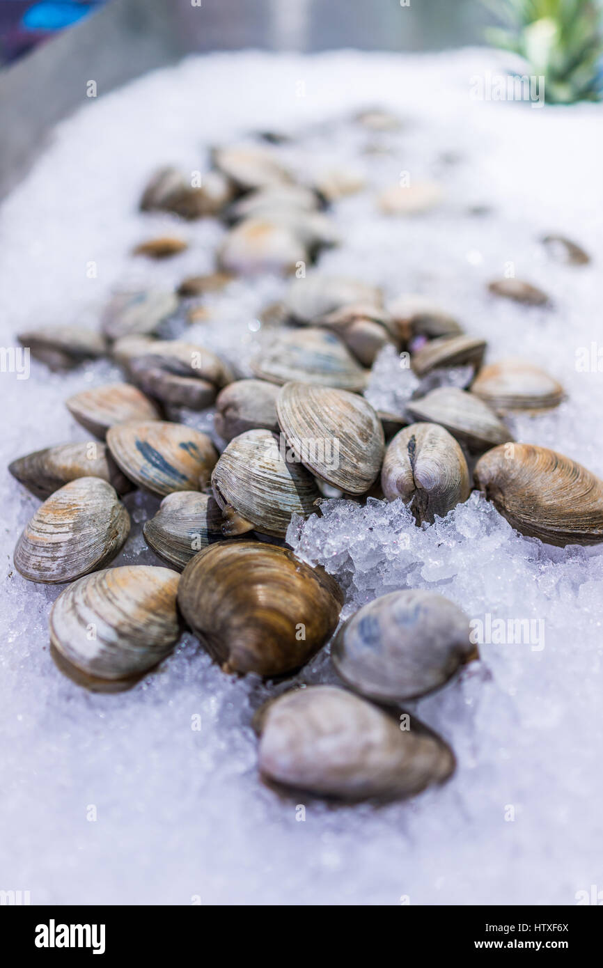 Raw Clams