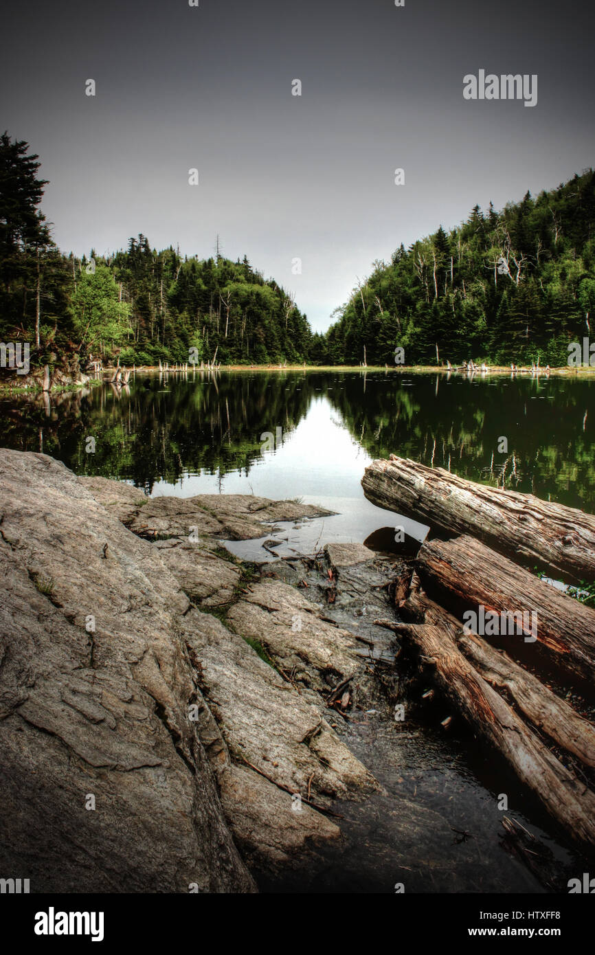 Log on a lake hi-res stock photography and images - Alamy