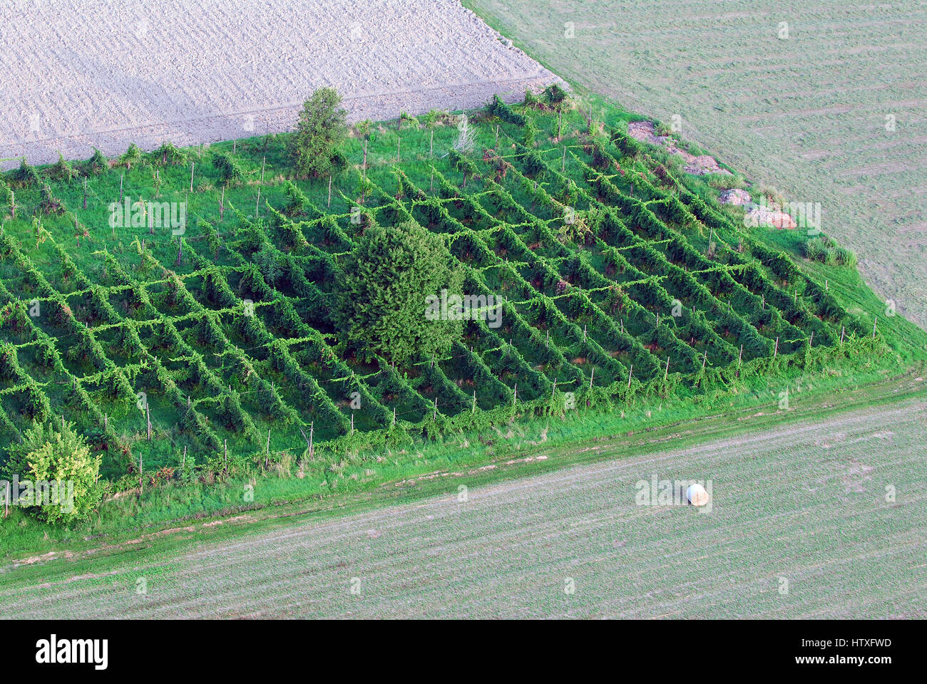 Aerial view of agriculture: cultivated fields, roads and urban traffic ...