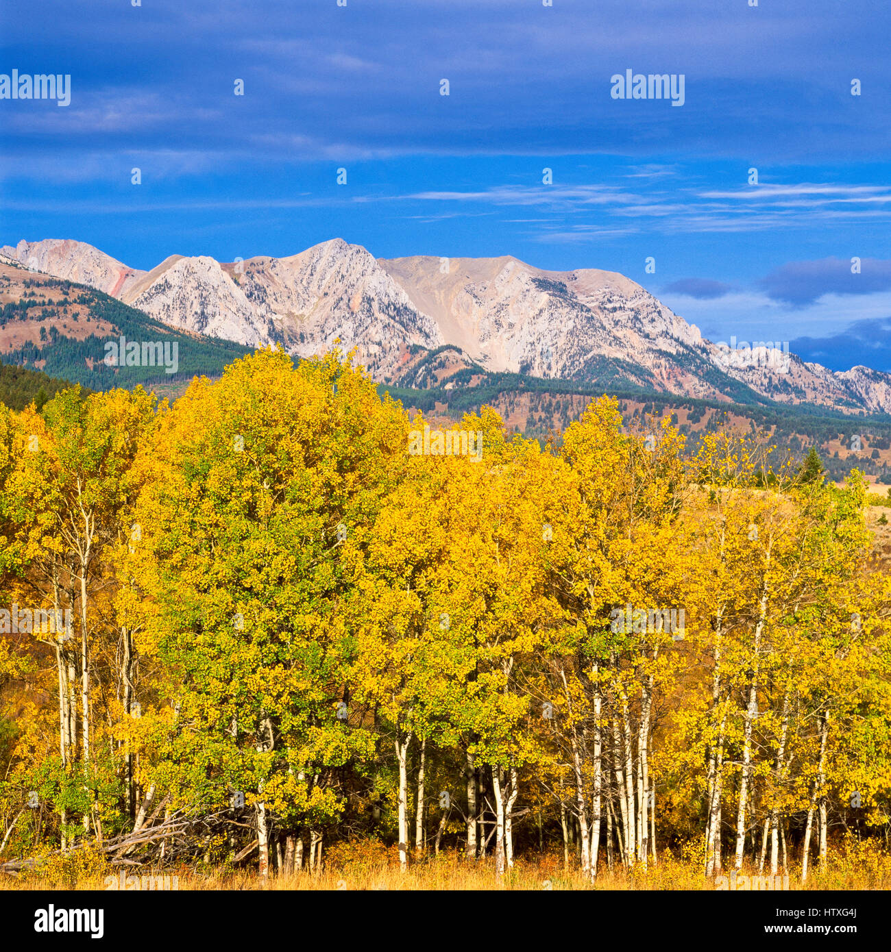 Mt 7195 hi-res stock photography and images - Alamy