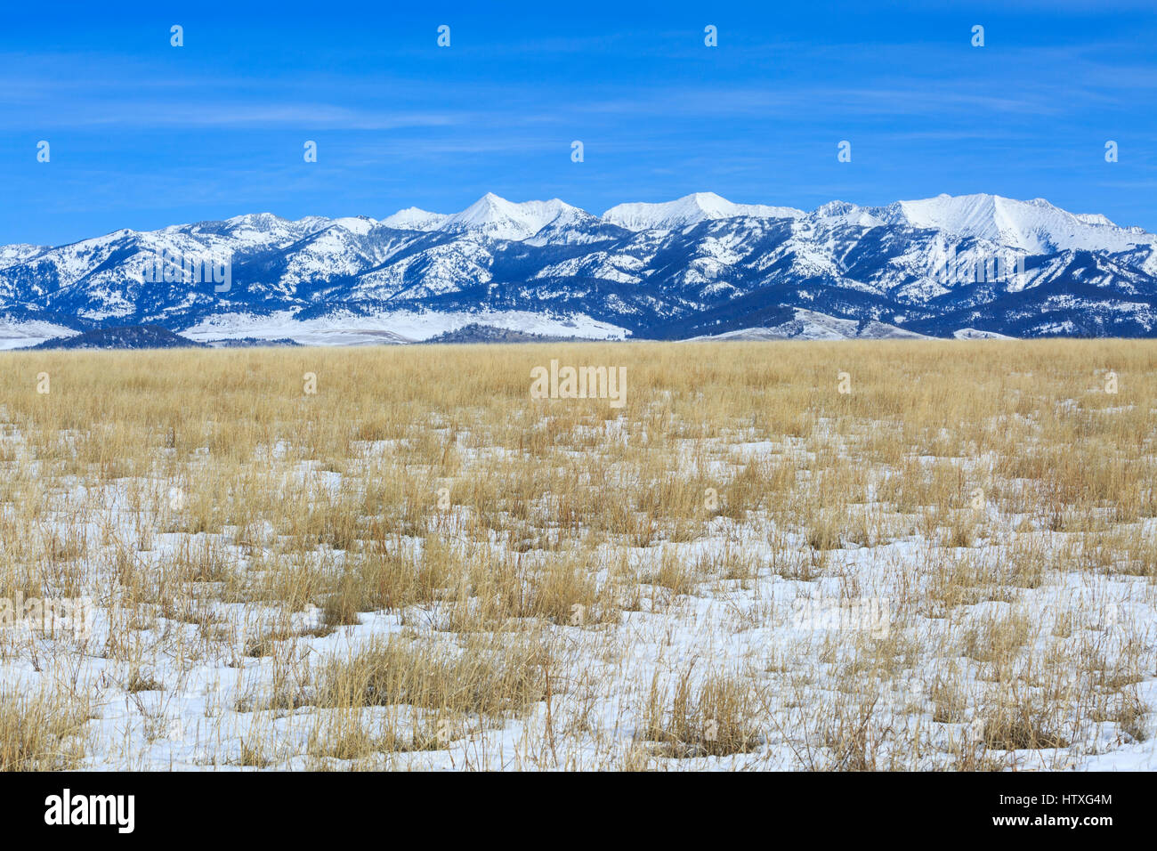 Mt d4211 hi-res stock photography and images - Alamy