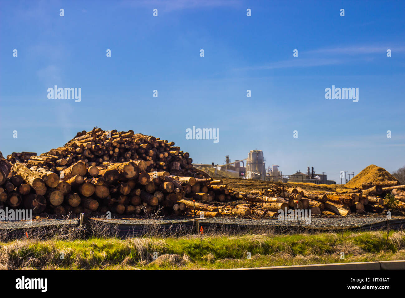 Stacked Logs Ready To Go To Mill Stock Photo - Alamy