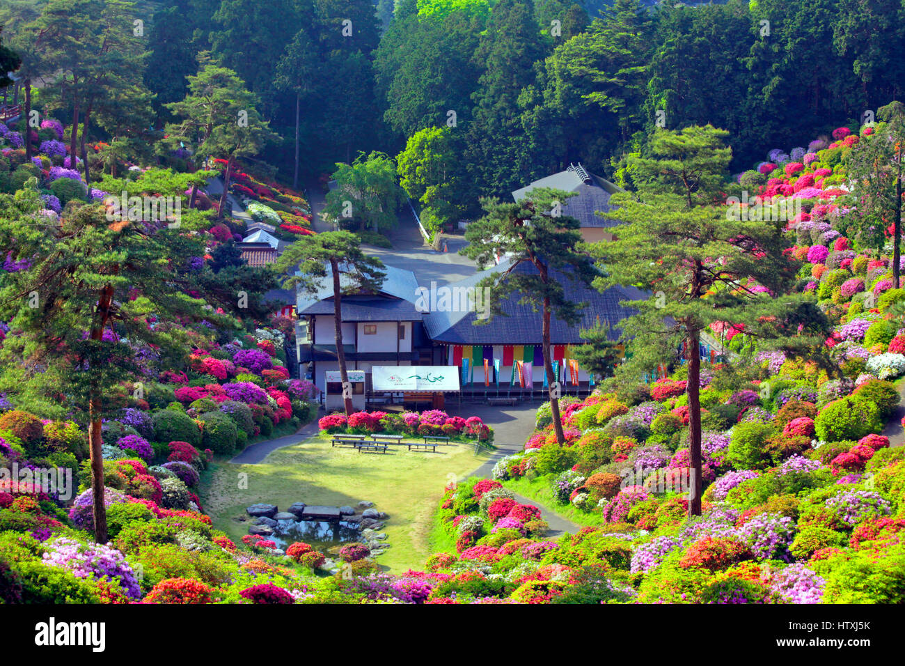 The Azareas Shiofune Kannon Temple Ome city Tokyo Japan Stock Photo - Alamy