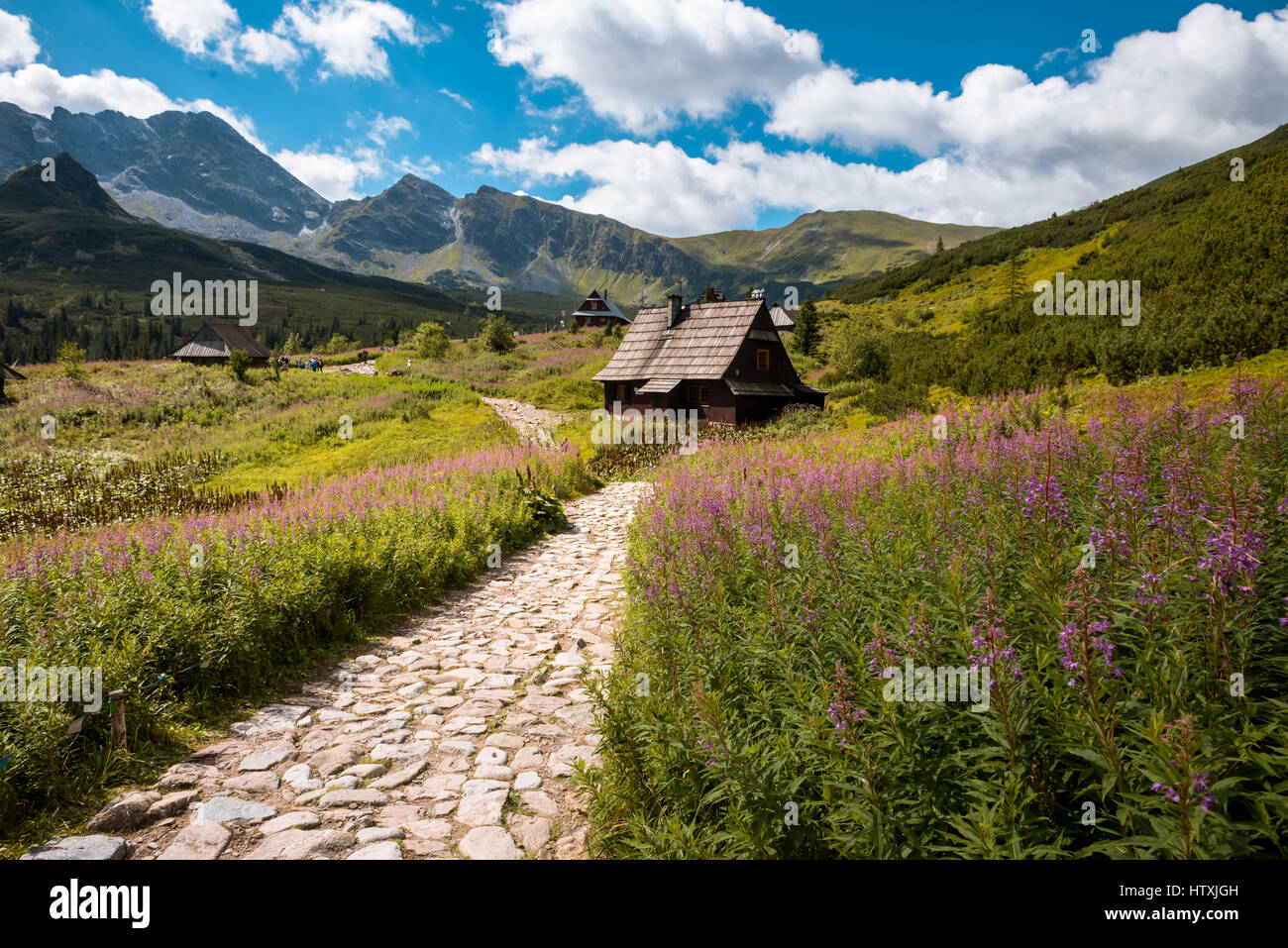 Summer view to Hala Gasienicowa in valley, Tatra mountains Zakopane ...