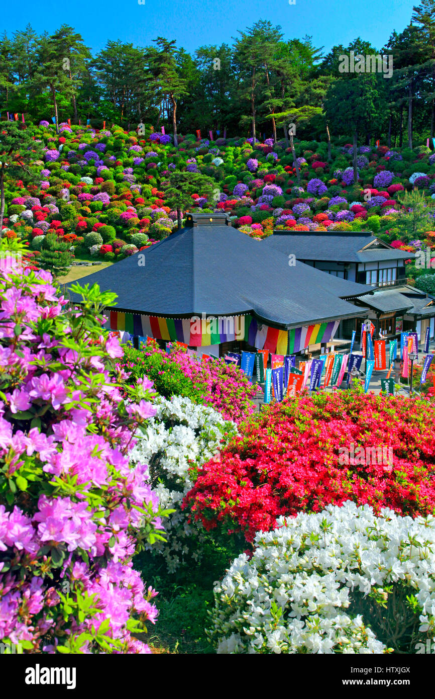 The Azareas Shiofune Kannon Temple Ome city Tokyo Japan Stock Photo - Alamy
