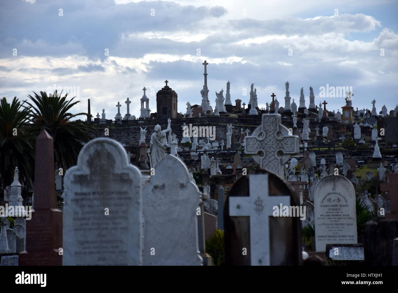 Waverley Cemetery is a state heritage listed cemetery in an iconic ...