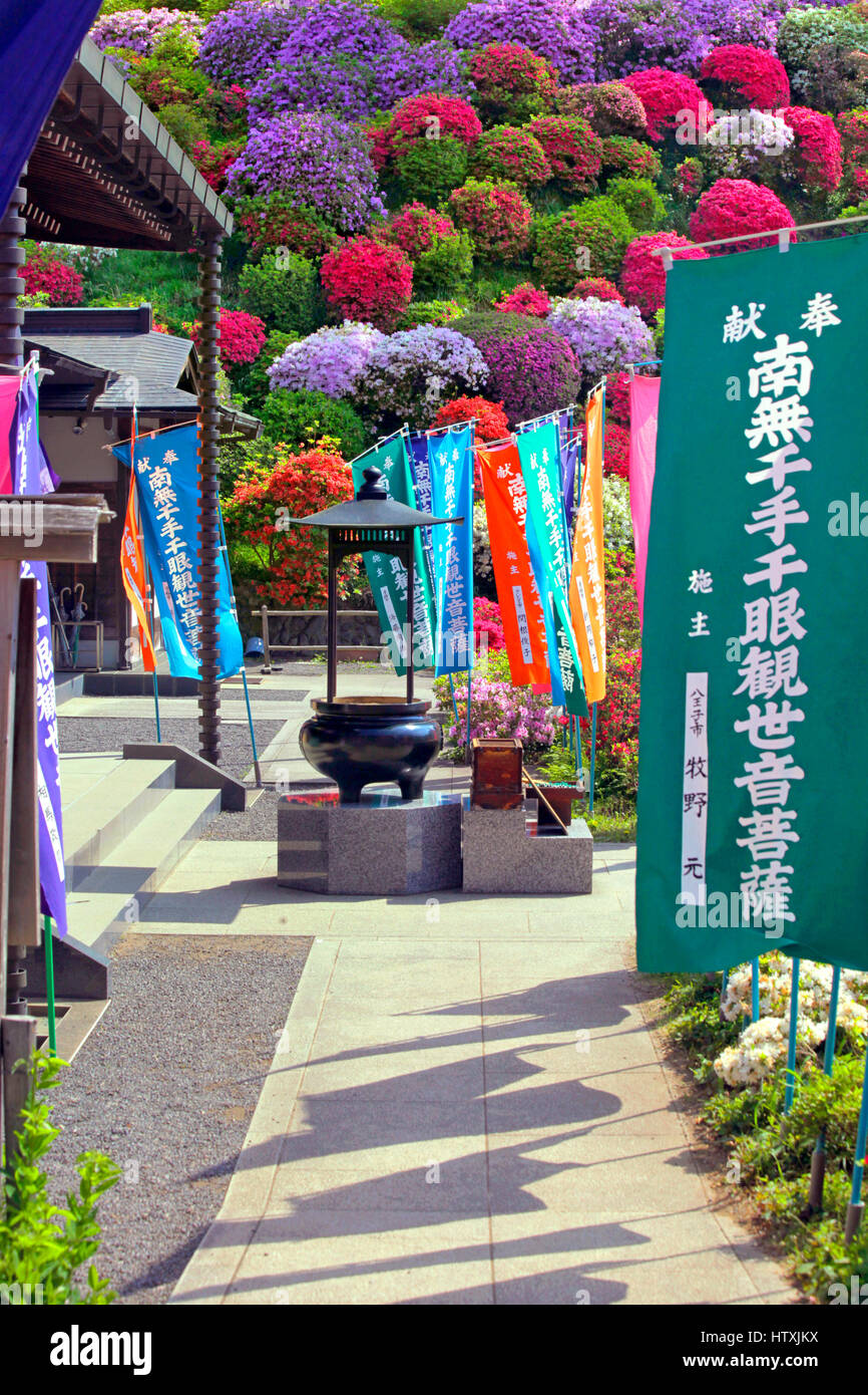 The Azareas Shiofune Kannon Temple Ome city Tokyo Japan Stock Photo - Alamy