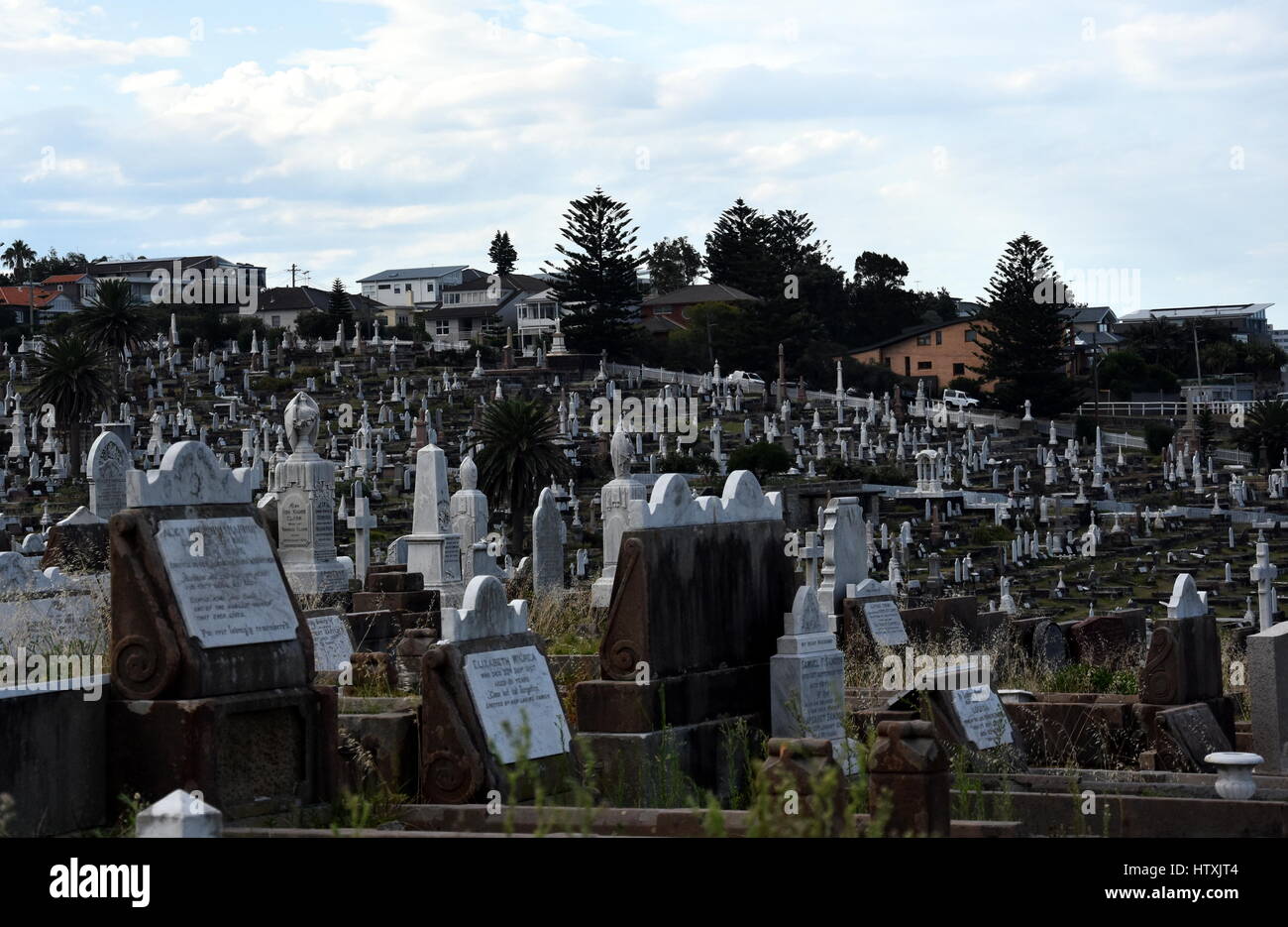 Waverley Cemetery is a state heritage listed cemetery in an iconic ...