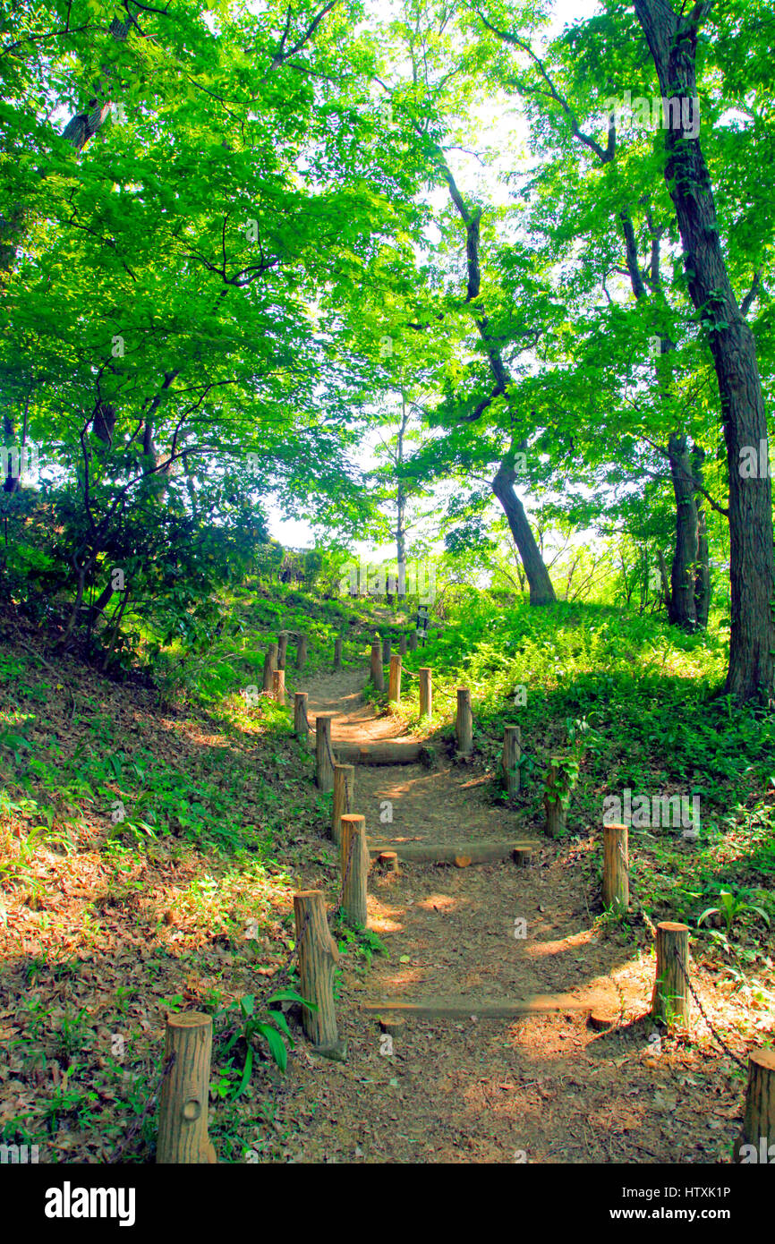 Katakura-jo-seki Park Hachioji city Tokyo Japan Stock Photo - Alamy