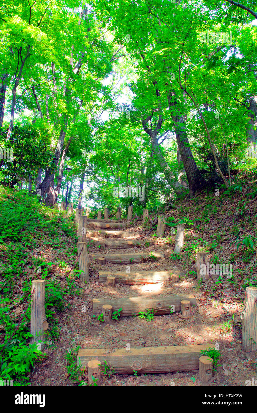 Katakura hi-res stock photography and images - Alamy