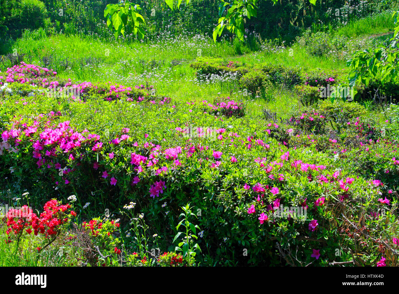 Katakura hi-res stock photography and images - Alamy