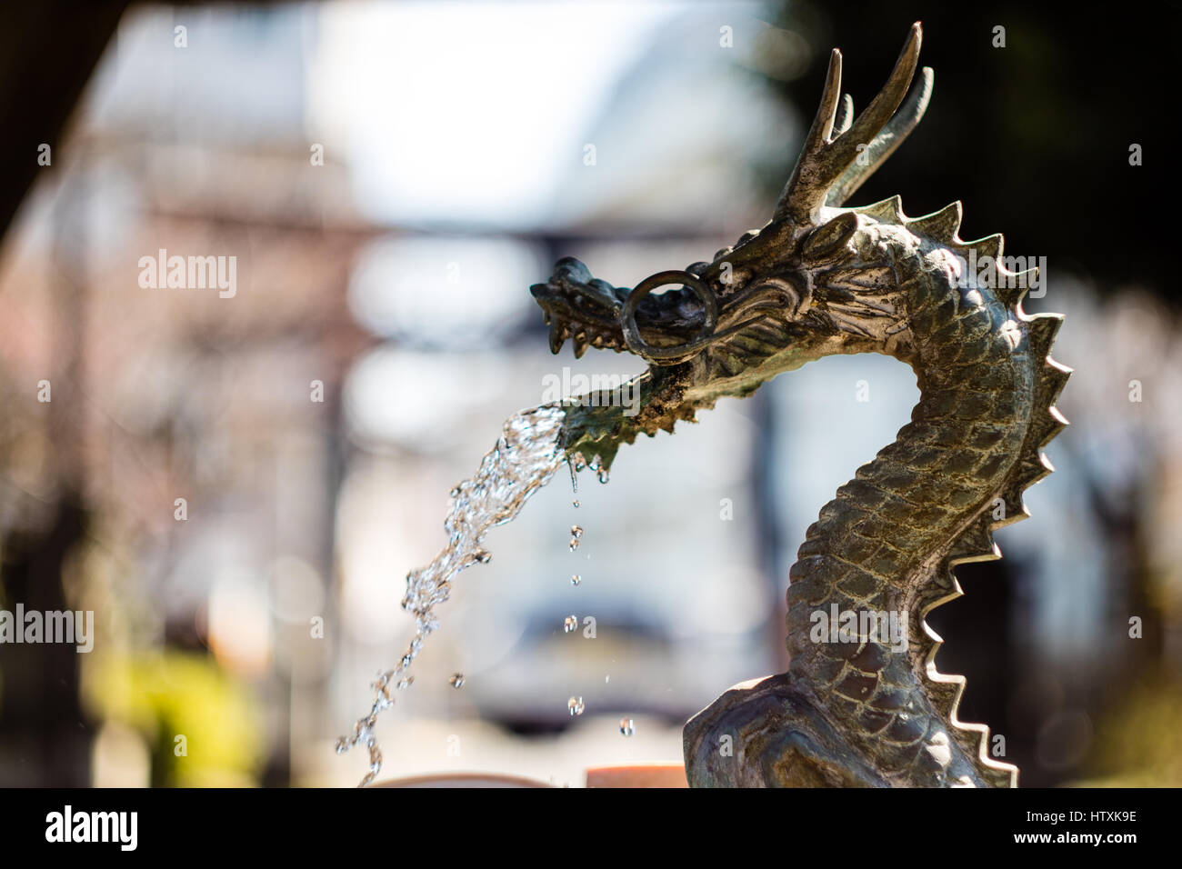 A dragon shaped fountain at a Japanese Shinto shrine, dispensing water ...