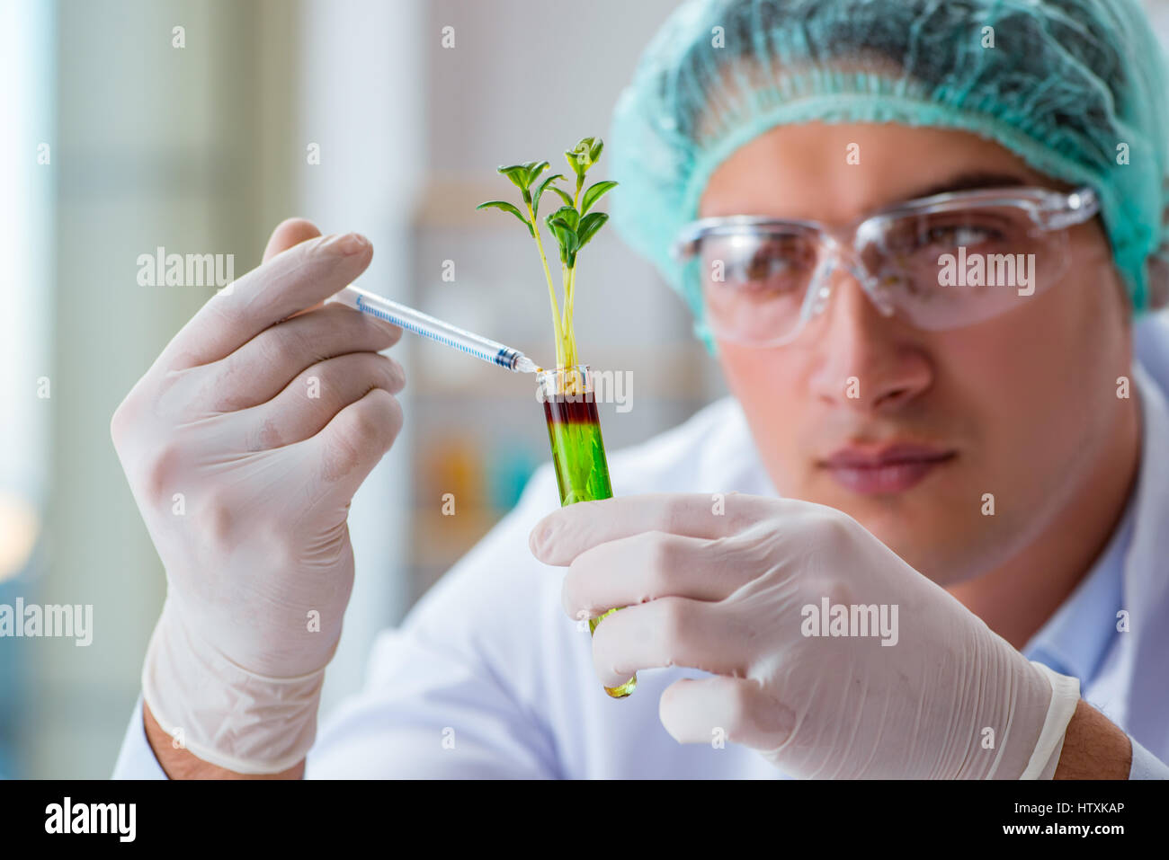 Biotechnology scientist working in the lab Stock Photo - Alamy