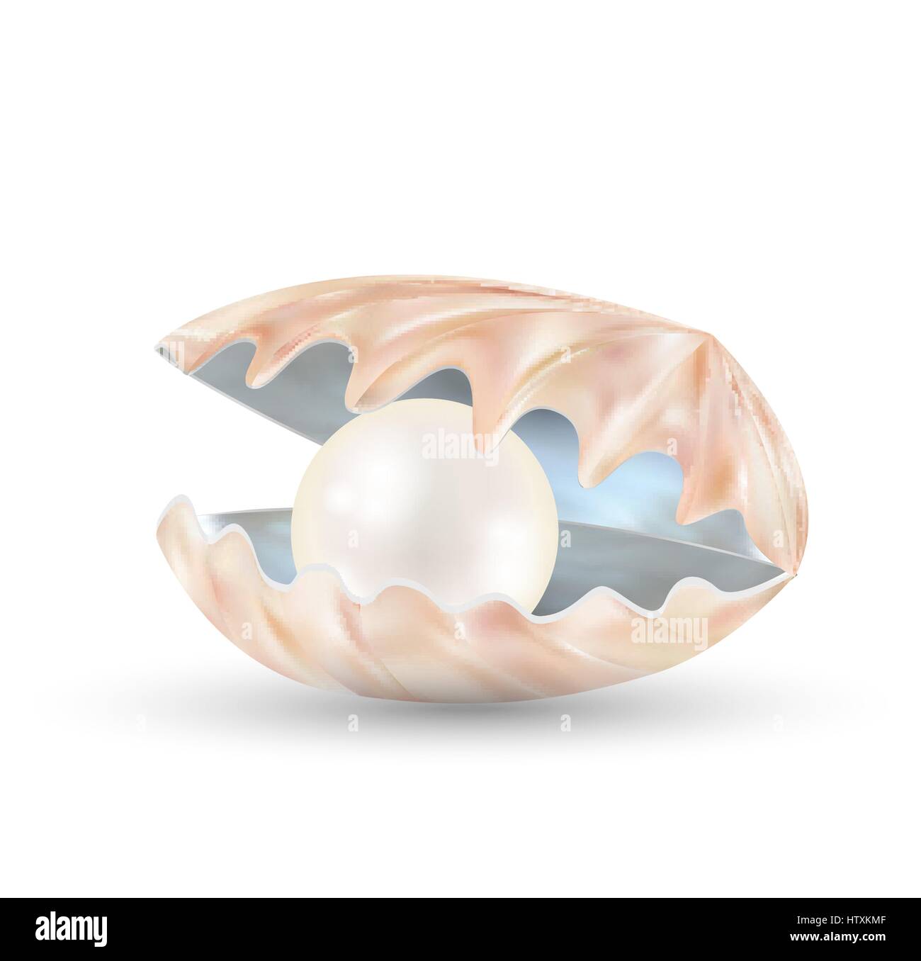 Pearl in oyster shell Stock Vector Images - Alamy