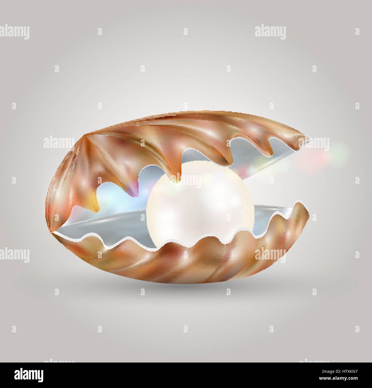 Sea shell in water Stock Vector Images - Alamy