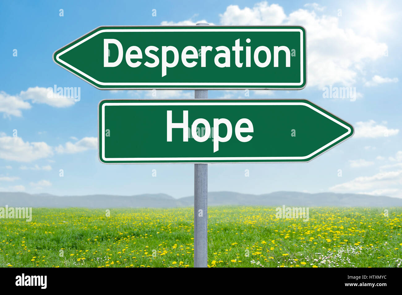 Two green direction signs - Desperation or Hope Stock Photo - Alamy