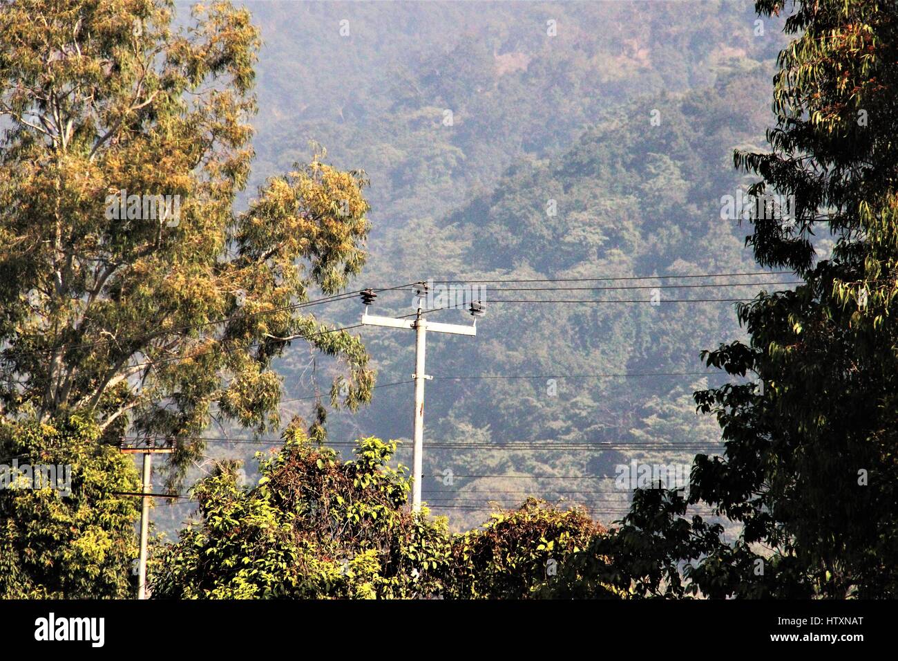 Overhead Power lines Stock Photo - Alamy