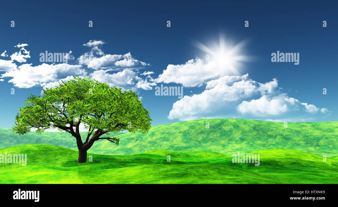 3D landscape with a tree against a blue sunny sky with fluffy white ...
