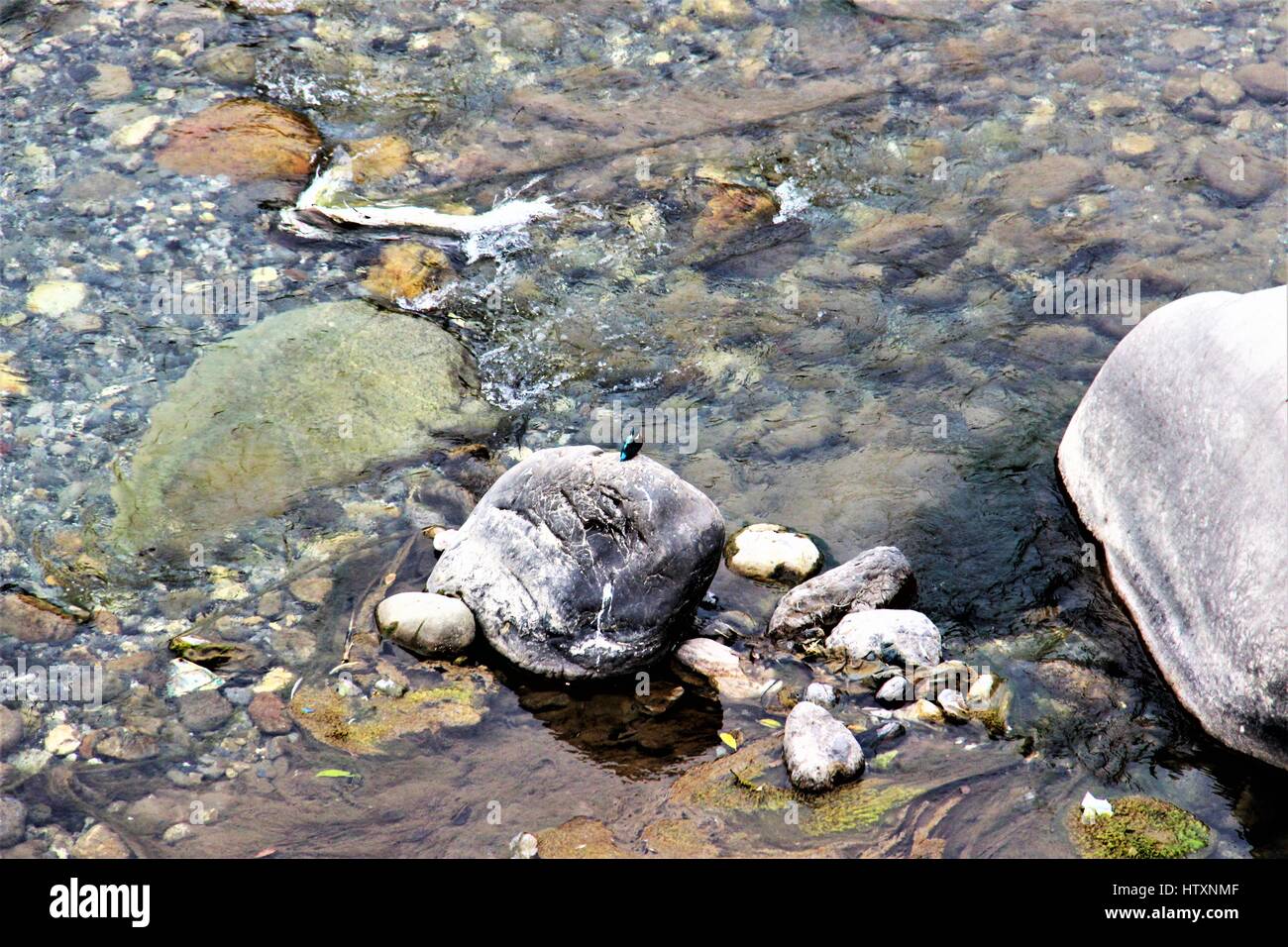 river, bageshwar, Uttarakhand, India Stock Photo - Alamy