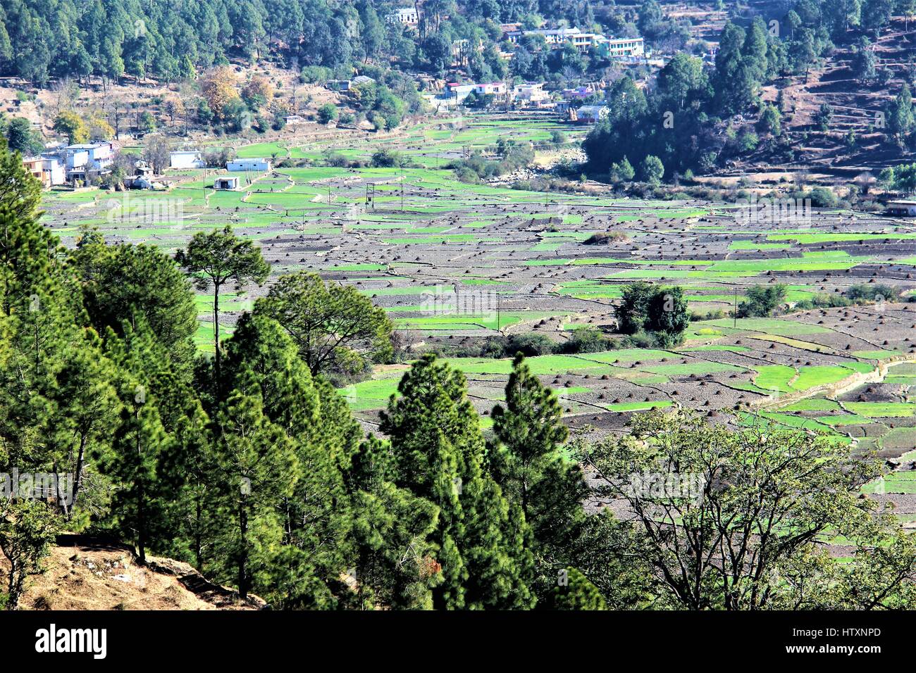 Bageshwar, Uttarakhand, India Stock Photo - Alamy