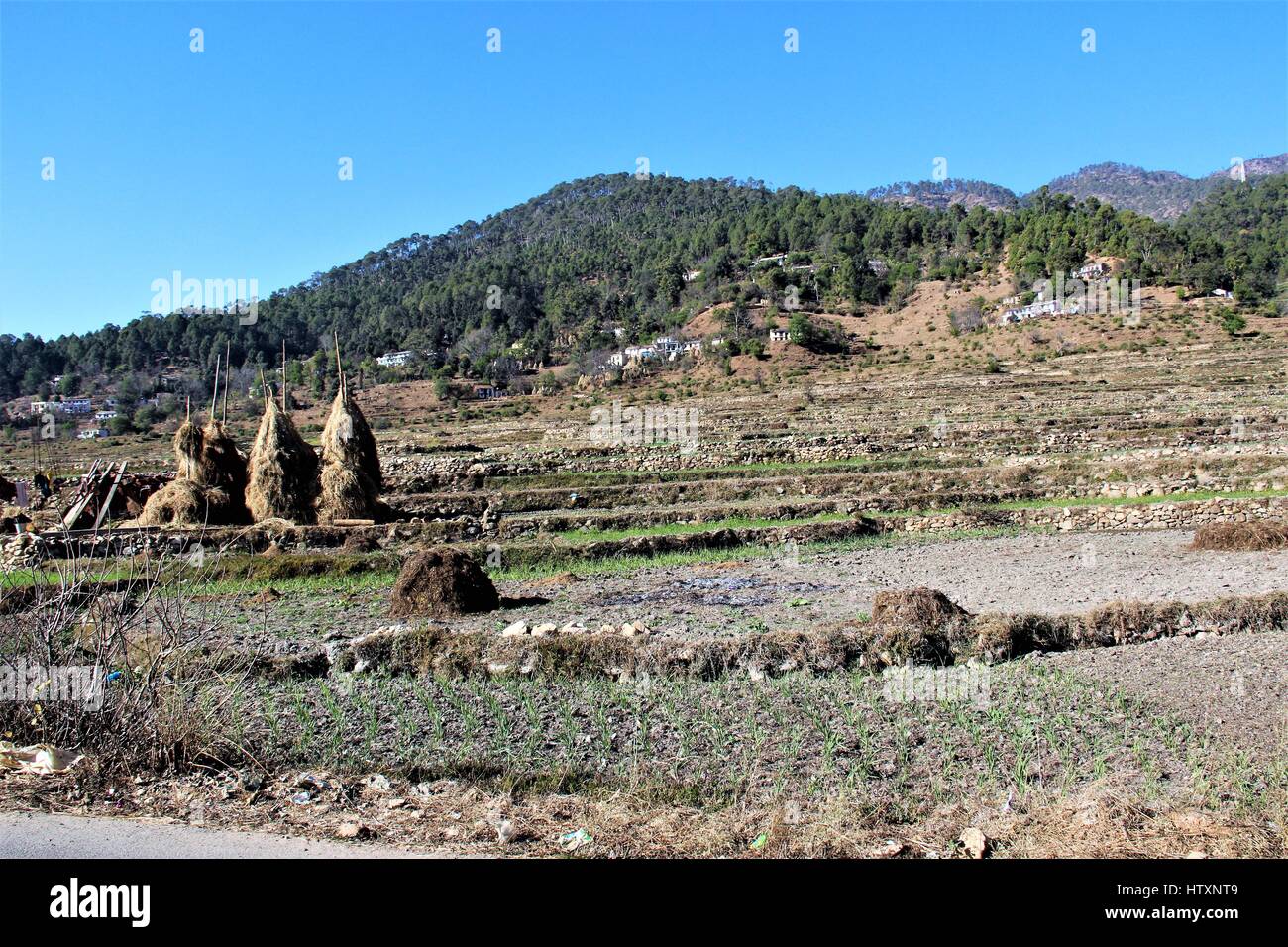 Bageshwar, Uttarakhand, India Stock Photo - Alamy