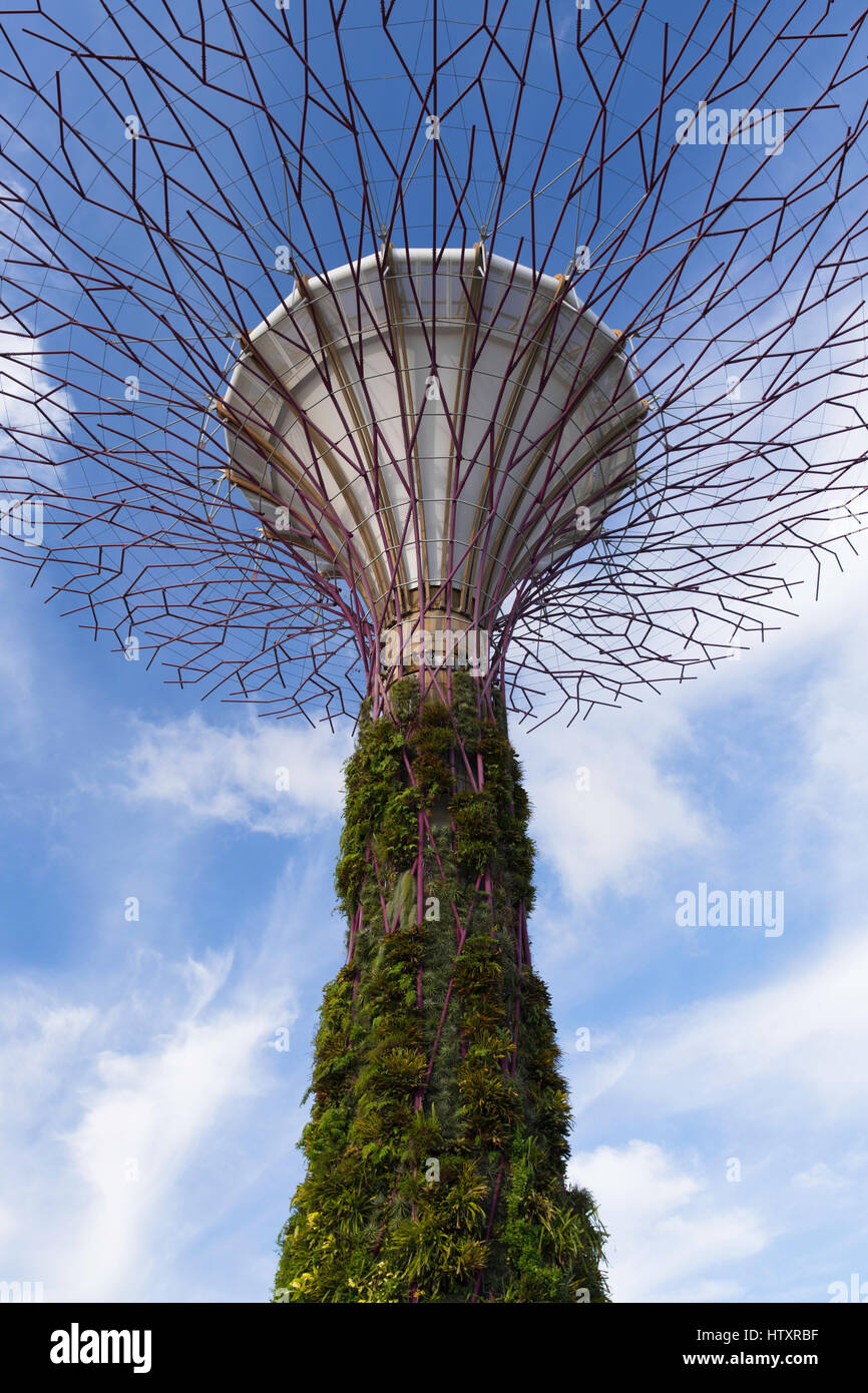 Gardens by the bay supertree hi-res stock photography and images - Alamy