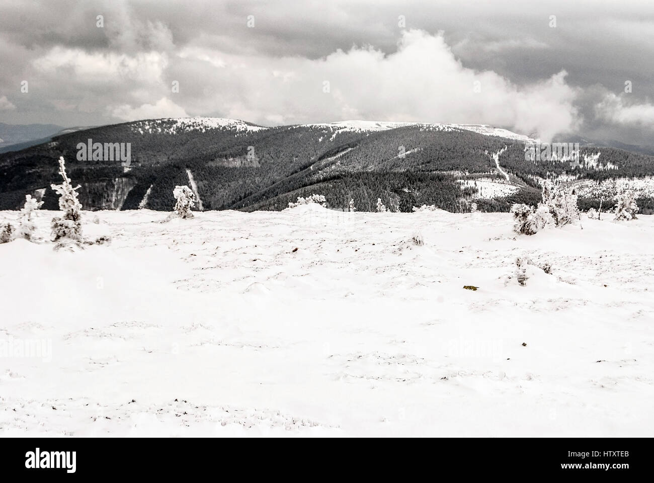 Dlouhe Strane mountain ridge from Bridlicna hora hill in winter Hruby ...