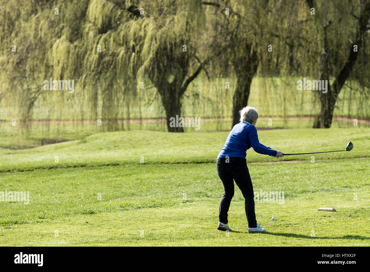Senior lady golfer takes a swing Stock Photo - Alamy