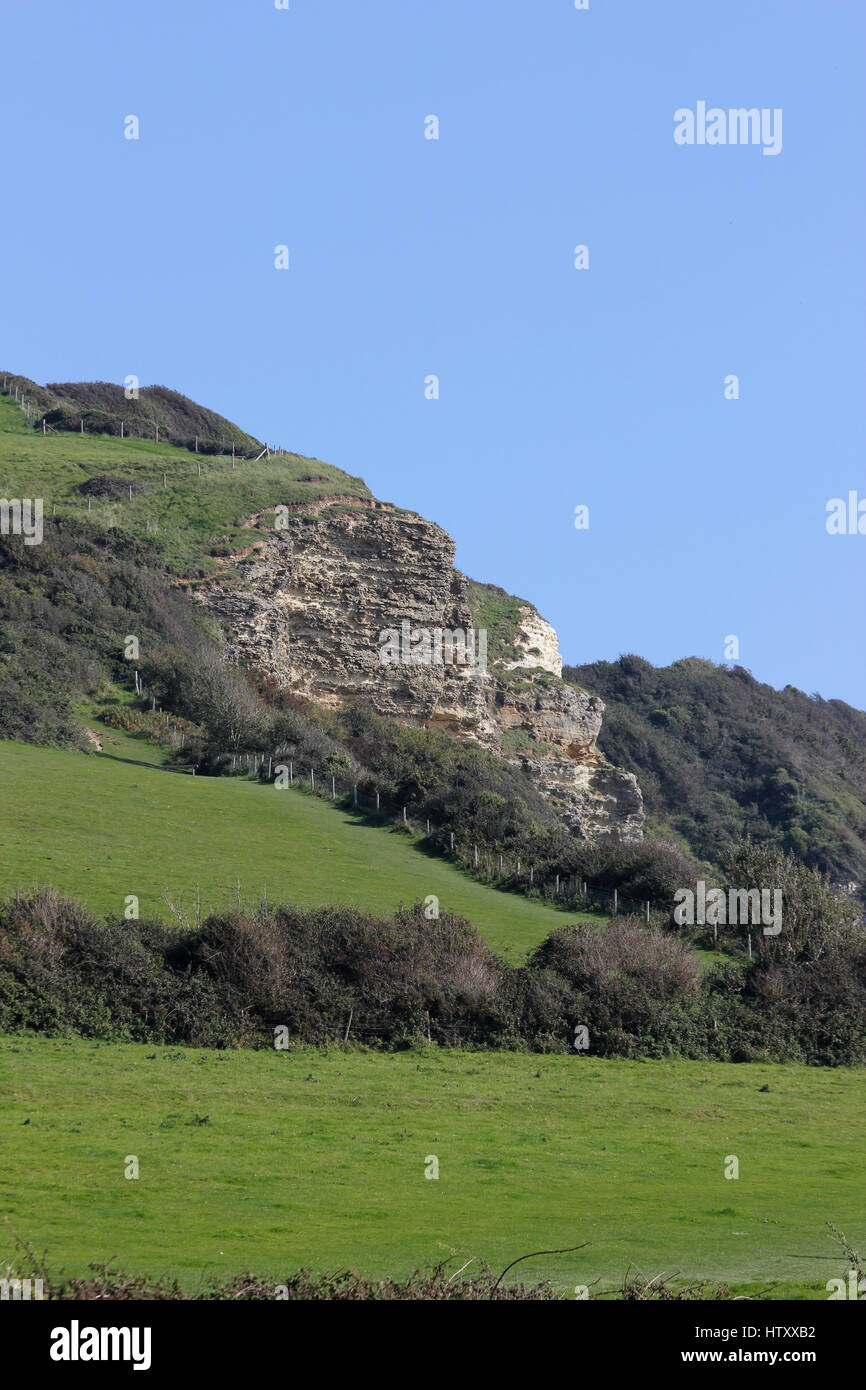 The upper greensand cliffs at Branscombe Mouth, Devon, showing part of ...