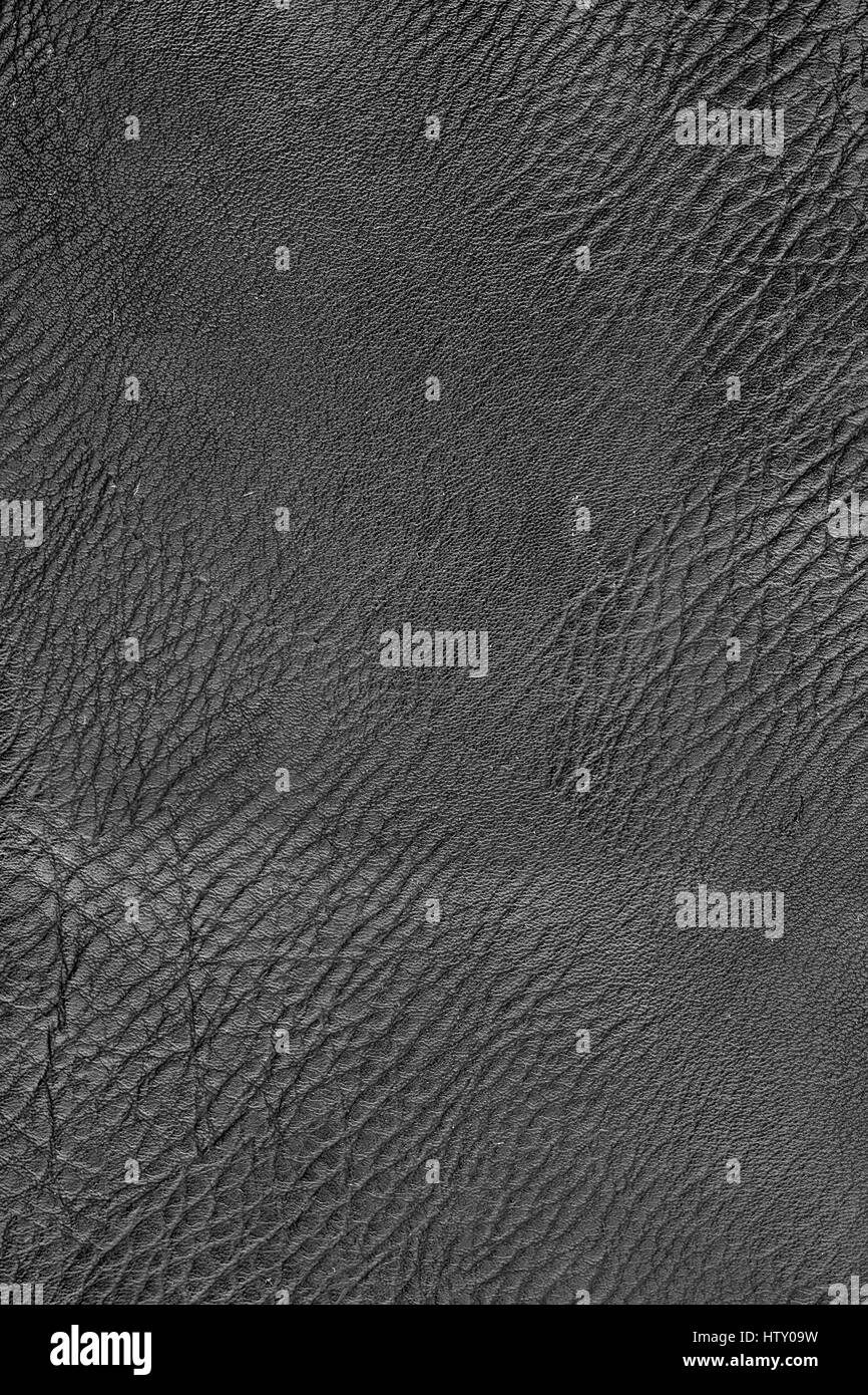 A studio photo of a leather background Stock Photo - Alamy