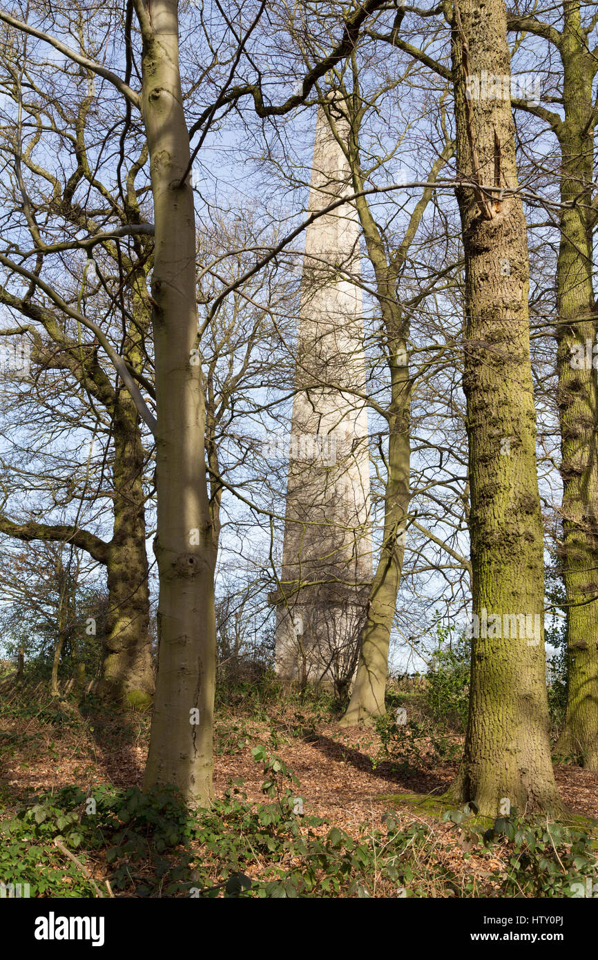 The errie / spooky looking obelisk through the trees at Trent Country ...