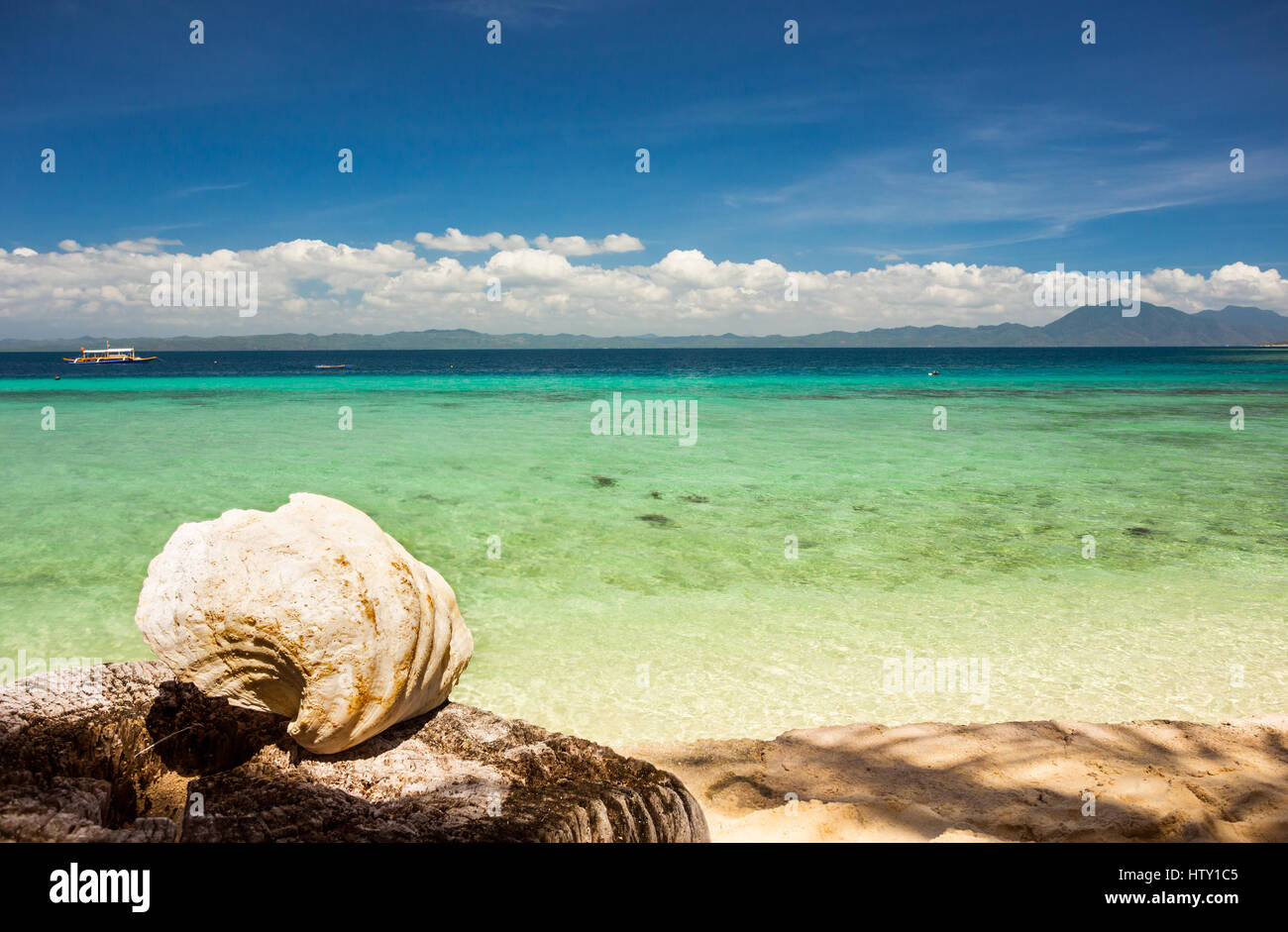Huge seashell and beautiful clear water near Palawan, Philippines Stock ...