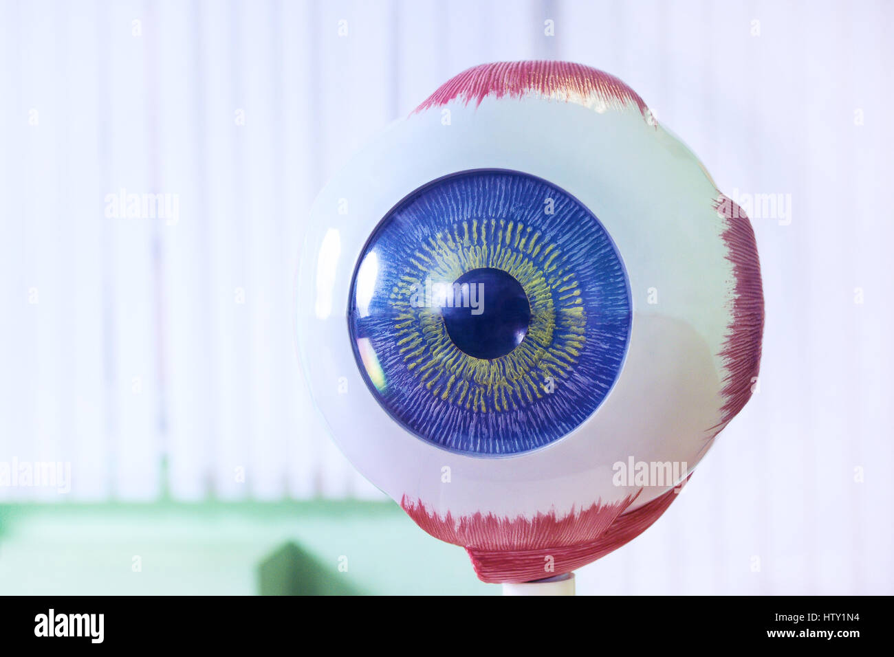 Ophthalmology oculus sample closeup Stock Photo - Alamy