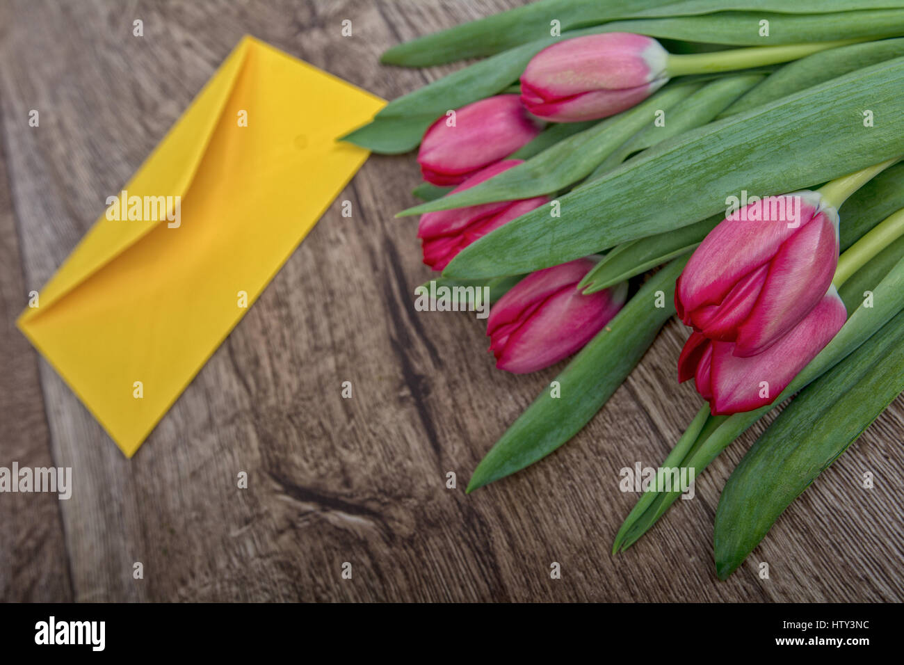 Romantic envelope tulip flower hi-res stock photography and images - Alamy