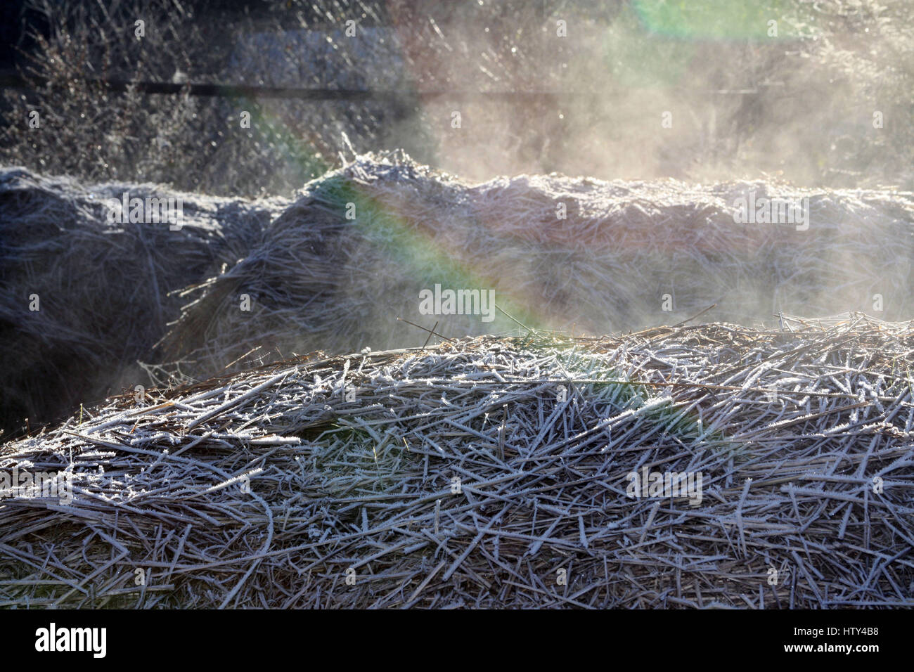 Refraction light warm sun rays hi-res stock photography and images - Alamy