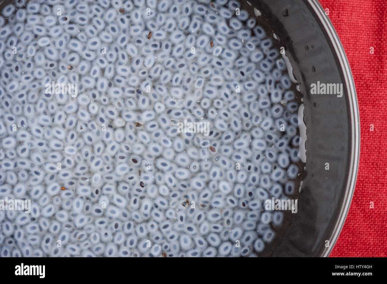 closeup sweet basil seeds in the bowl Stock Photo - Alamy